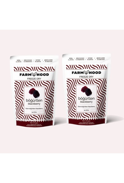 Farmhood 2x Freeze Dried Böğürtlen Cipsi