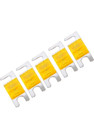 Blesiya 5 Parça Mini Anl Bolt Çatal Sigorta Seti Araba Ses Devre Kesici 40A (Yurt Dışından) Blesiya 5 Parça Mini Anl Bolt Çatal Sigorta Seti Araba Ses Devre Kesici 40A (Yurt Dışından)