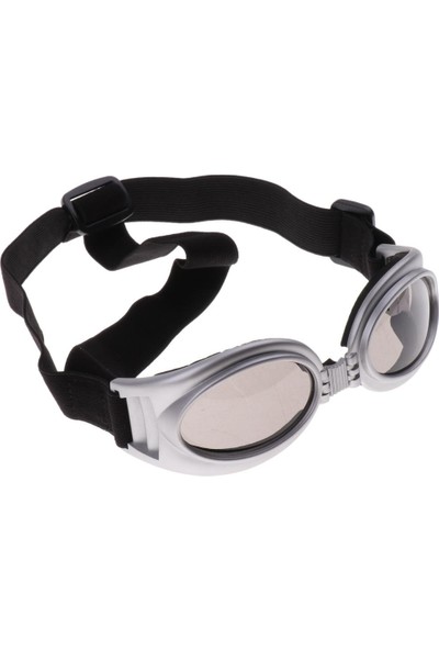 Kesoto Pet Köpek Rüzgar Güneş Gözlüğü Göz Giyim Koruma Gözlük Ayarlanabilir Kayış Gümüş (Yurt Dışından) Kesoto Pet Köpek Rüzgar Güneş Gözlüğü Göz Giyim Koruma Gözlük Ayarlanabilir Kayış Gümüş (Yurt Dışından)