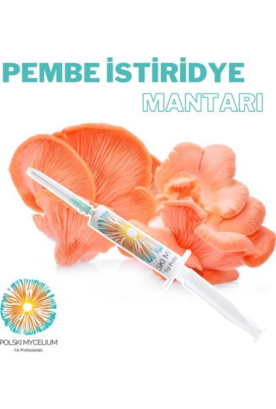 Polski My Celium Pembe Istiridye Mantarı Sıvı Miseli 5 ml Mantar Tohumu Mantar Miseli Kompost ve Misel Üretimi Için Ana Kültür Polski My Celium Pembe Istiridye Mantarı Sıvı Miseli 5 ml Mantar Tohumu Mantar Miseli Kompost ve Misel Üretimi Için Ana Kültür