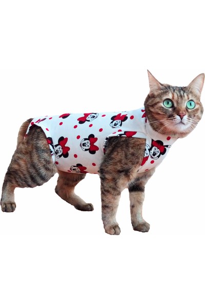 Stylie Kedi Ameliyat Sonrası Giysis