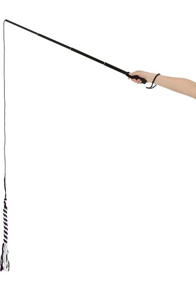 Beauty Life Uzatılabilir Köpek Yavrusu Teaser Kutup Değnek Açık (Yurt Dışından)