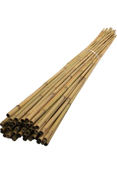 Doruk Dekor 100 cm 25 -35 mm Seperetör Bambu Çubuk 10 Ad.