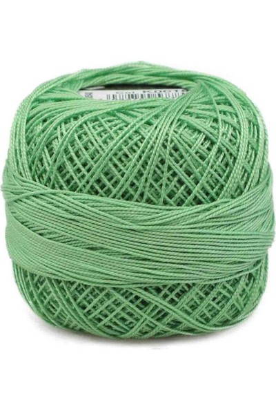 Domino Merserize Nakış Ipi No 12 K0018