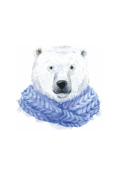 Hayat Poster Atkılı Kutup Ayısı Illüstrasyonu 30 x 45 cm Kuşe Poster Silindir Kutulu Kargo