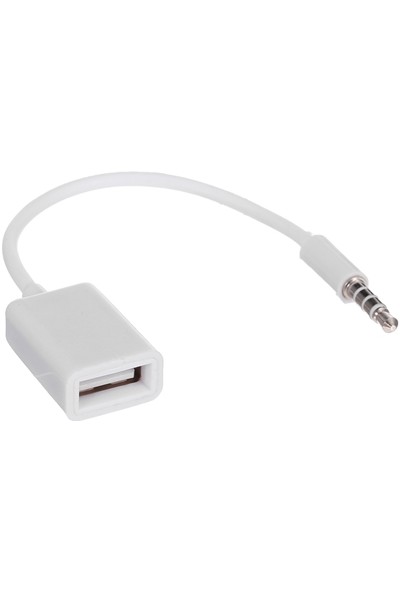 Bernam Racing Aux Dişi USB Giriş Otg Kablosu