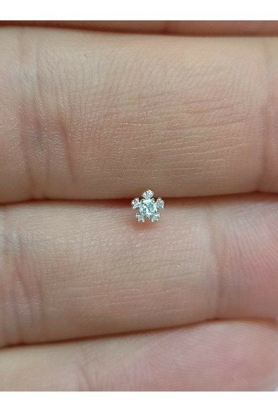 Takıconcept 925 Ayar Gümüş Taşlı Kartanesi Hızma