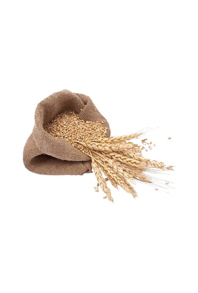 Targem Tarım Arpa 100 Kg.