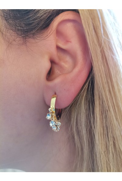 Sodeep Kadın Çelik Küpe Shakıra Model Zirkon Taşlı Sodeep Kadın Çelik Küpe Shakıra Model Zirkon Taşlı