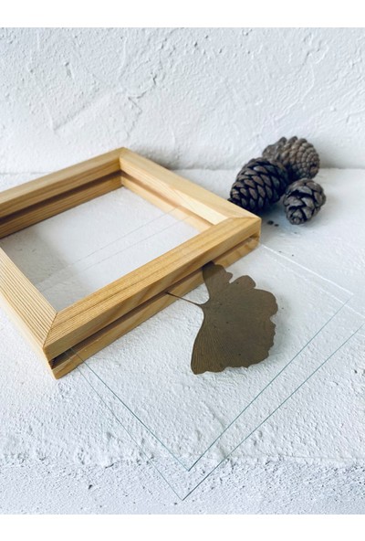 Kendi Bitkilerinizi Yerleştirebileceğiniz Boş Çerçeve