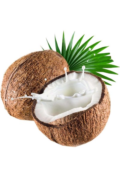 Hindistan Cevizi 1 Adet