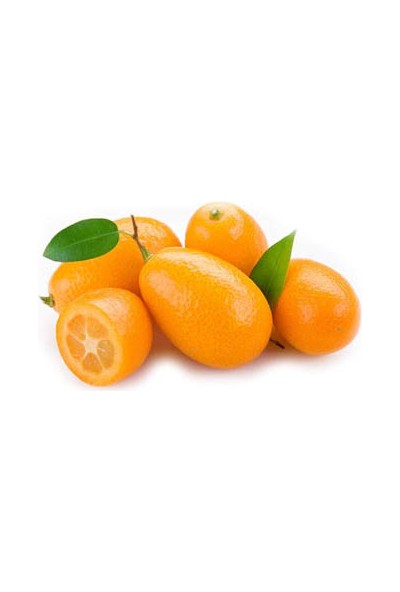 Muzdeniz Yerli Taze Kamkat 500g Paket (Kumkuat) Muzdeniz Yerli Taze Kamkat 500g Paket (Kumkuat)