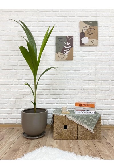 Odka Saksı Tabaklı 40CM Naturel Odka Saksı Tabaklı 40CM Naturel