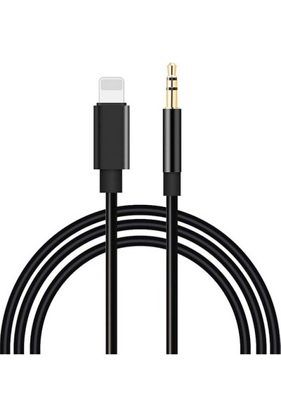 Raintech Iphone Lightning 3.5 mm Aux Çevirici Kablo Siyah 1 mt Raintech Iphone Lightning 3.5 mm Aux Çevirici Kablo Siyah 1 mt