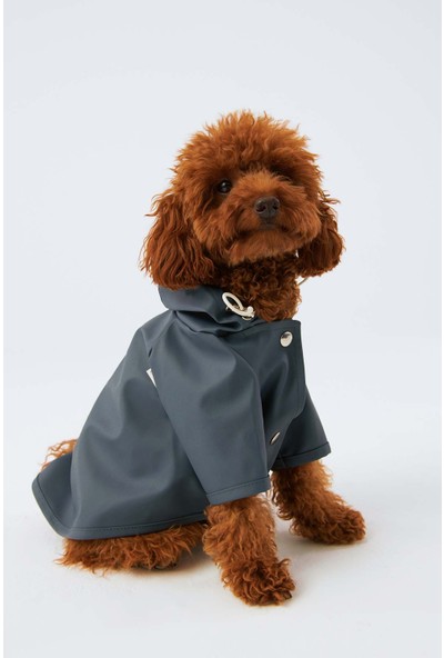 Bruno Society Çıtçıtlı Köpek Yağmurluk Mavi 4 Bruno Society Çıtçıtlı Köpek Yağmurluk Mavi 4