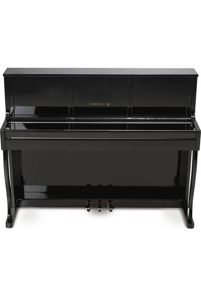 Arsenberg Dıgıtal Piyano Siyah