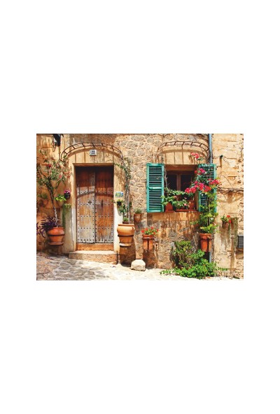 Hayat Poster Çiçekli Panjur ve Kapı 30 x 45 cm Kuşe Poster Silindir