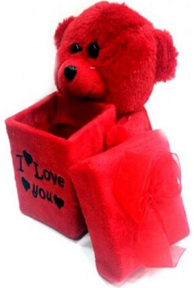 Peluş Ayıcıklı Kutu