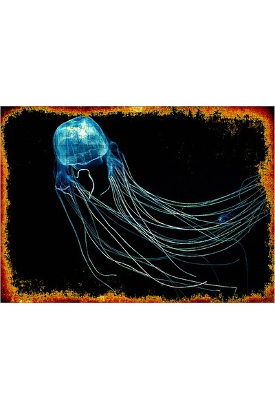 Tablomega Ahşap Mdf Puzzle Yapboz Mor Denizanası 500 Parça 50*70 cm