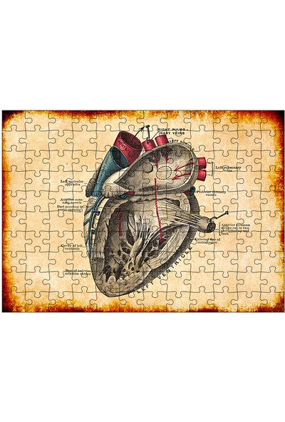 Tablomega Ahşap Mdf Puzzle Yapboz Kalbin Yapısı 120 Parça 25*35 cm Tablomega Ahşap Mdf Puzzle Yapboz Kalbin Yapısı 120 Parça 25*35 cm