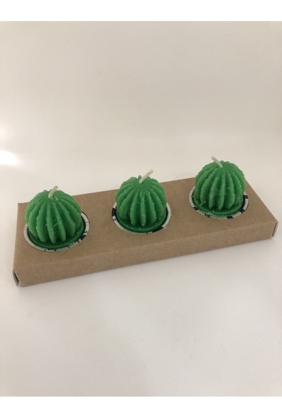 Ev Dekorasyon 3' Lü Kaktüs Model Mum Seti Yeşil Ev Dekorasyon 3' Lü Kaktüs Model Mum Seti Yeşil