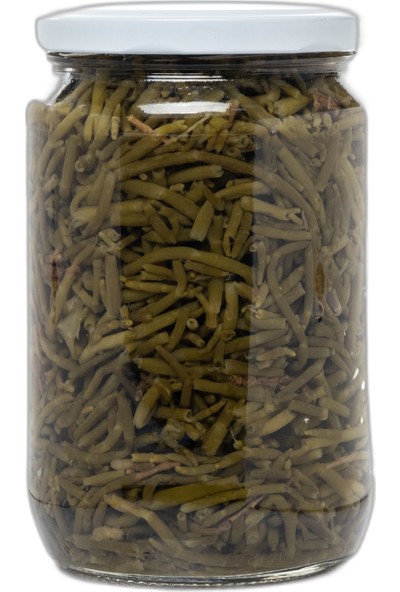 Köy Yakası Deniz Börülcesi 720 cc