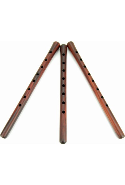 Usta Müzik Profesyonel Mey Balaban Erik Pro Do 33.5 cm Usta Müzik Profesyonel Mey Balaban Erik Pro Do 33.5 cm