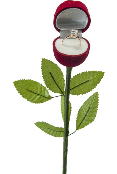 Vitrin Kutu Saplı Gül Tektaş Yüzük Kutusu Kırmızı Vitrin Kutu Saplı Gül Tektaş Yüzük Kutusu Kırmızı