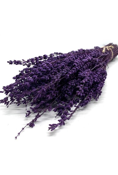 Biorganix Life Şoklanmış Dökülmeye Dayanıklı Gerçek Lavanta Demeti Mor 100 - 130 gr