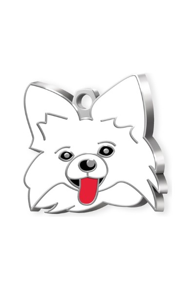 Dali's Papillion Köpek Künyesi