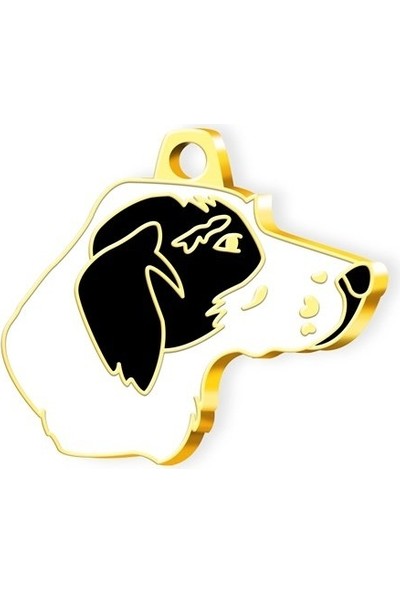 Ozcmax Altın Kaplama Pointer Köpek Künyesi (Siyah/beyaz)-Zoo Ozcmax Altın Kaplama Pointer Köpek Künyesi (Siyah/beyaz)-Zoo