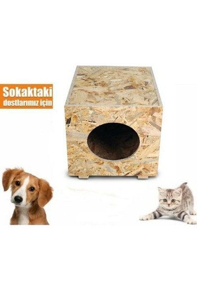 Osb Kedi Yuvası Kedi Yuvası