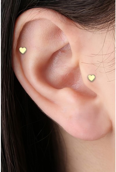 Takıconcept Cerrahi Çelik Gold Renk Taşsız Minimal Kalp Model Tragus,helix,kıkırdak Piercing GLDKLP02 Takıconcept Cerrahi Çelik Gold Renk Taşsız Minimal Kalp Model Tragus,helix,kıkırdak Piercing GLDKLP02
