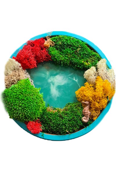 Yosun ve Epoksili Canlı Tablo T3 Yosun ve Epoksili Canlı Tablo T3