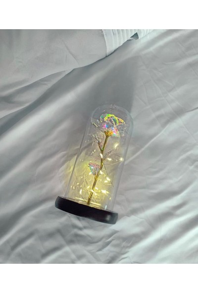 Rose Branch Fanus Içinde Işıklı Gül Sevgililer Günü Işıklı Fanusta Gül Fanusta Sonsuzluk Gülü