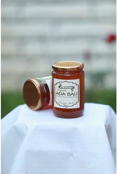 Gökçeada Organik Kekik Çam Balı 980 Gr.