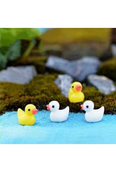 Himi Teraryum Objeleri 4'lü Minik Ördekler Teraryum Obje Minyatür Obje Teraryum Süsleri Saksı Süsü