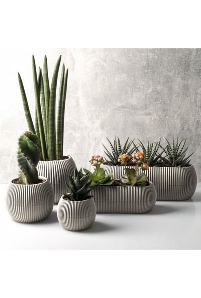ToXA 5 Parça Mercan Saksı Seti 5 Adet Plastik Kaktüs Sukulent Saksısı ToXA 5 Parça Mercan Saksı Seti 5 Adet Plastik Kaktüs Sukulent Saksısı