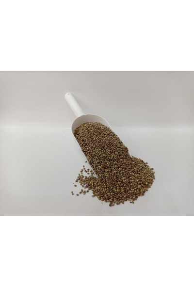 Surkent Kuruyemiş Çetene (500 Gr) Surkent Kuruyemiş Çetene (500 Gr)