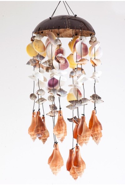 Bitiklayaninda Hindistan Cevizi ve Deniz Kabuklarından Yapılma Rüzgar Çanı Rüzgar Gülü 40 cm