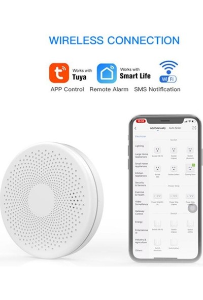 Tuya Wıfı 2 In 1 Duman Karbon Monoksit Dedektörü