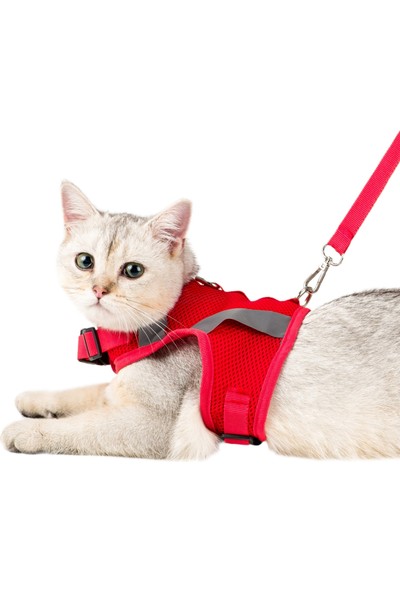 Evene Kedi Tasması Göğüs Boyun Tasma Seti Sevk Kayışlı Terletmeyen Nefes Alan Reflektörlü Tasma Kırmızı L Evene Kedi Tasması Göğüs Boyun Tasma Seti Sevk Kayışlı Terletmeyen Nefes Alan Reflektörlü Tasma Kırmızı L