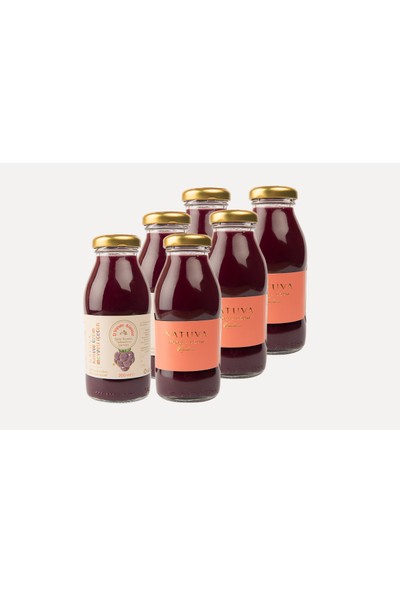 Natuva 6'lı Kokulu Üzüm Minikler 200 ml Şekersiz Natuva 6'lı Kokulu Üzüm Minikler 200 ml Şekersiz