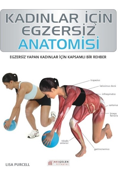 Kadınlar İçin Egzersiz Anatomisi