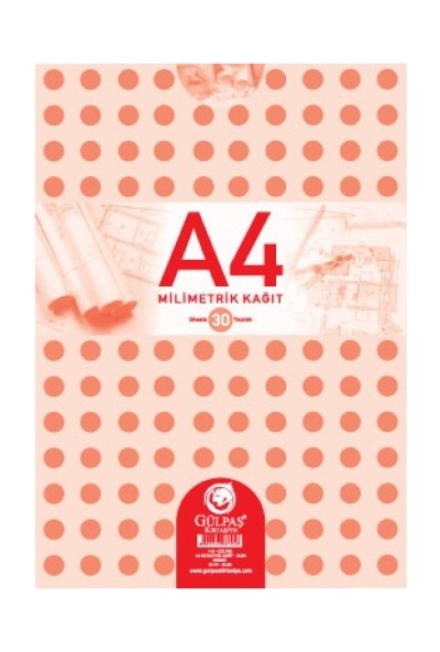 Gülpaş A4 Teknik Resim Bloğu - 30 Yaprak
