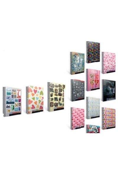 Gıpta 96 Yaprak A4 Çizgili Defter Karton Kapak