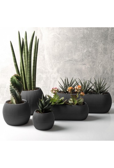 ToXA 5 Parça Mercan Saksı Seti 5 Adet Plastik Kaktüs Sukulent Saksısı ToXA 5 Parça Mercan Saksı Seti 5 Adet Plastik Kaktüs Sukulent Saksısı