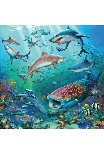 Ravensburger Çocuk Puzzle 3X49 Parça Okyanus Hayvanları 51496 Ravensburger Çocuk Puzzle 3X49 Parça Okyanus Hayvanları 51496