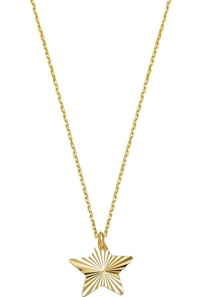 Bilezikci Kalp Yıldızı Altın Kolye