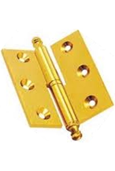 Nobel Pirinç Okka Menteşe 5 cm Sarı Memeli Nobel Pirinç Okka Menteşe 5 cm Sarı Memeli